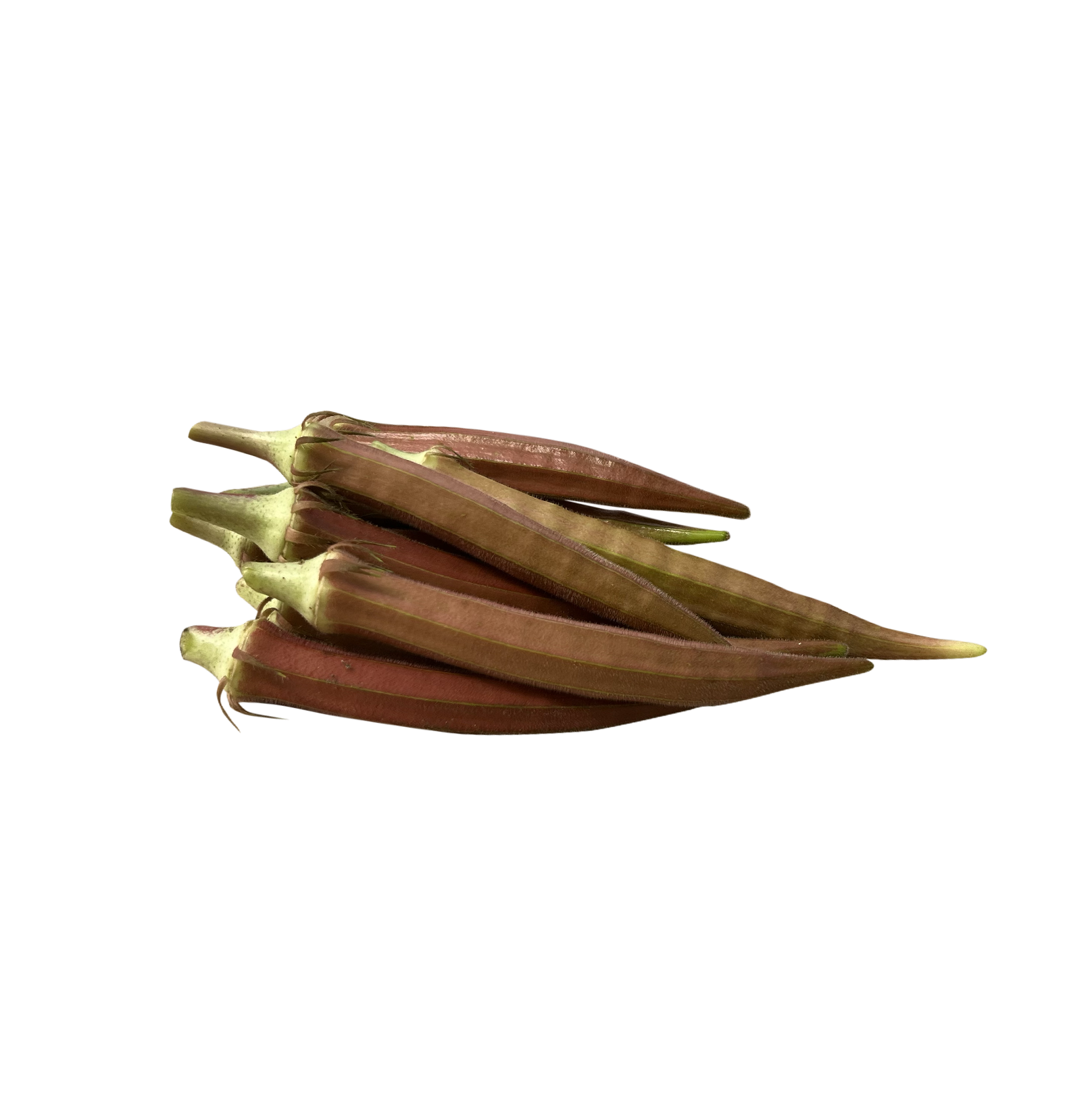Purple Okra – Harvestin – Urban Farming • Farm to Plate in Malaysia