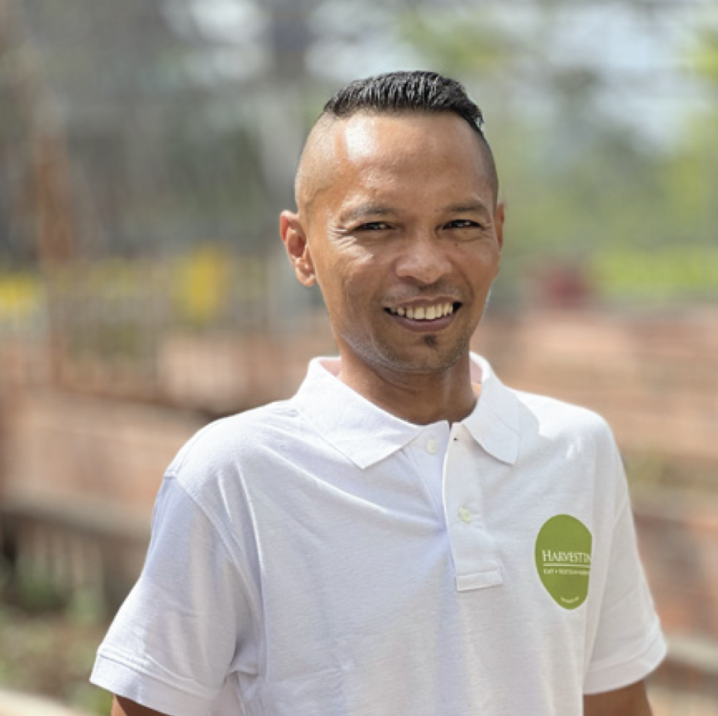 About Us – Harvestin – Urban Farming • Farm to Plate in Malaysia